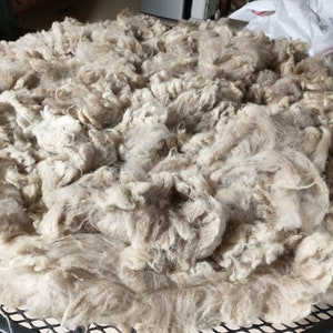 Shetland Sheep Roving From Kate - 4 Oz - Etsy
