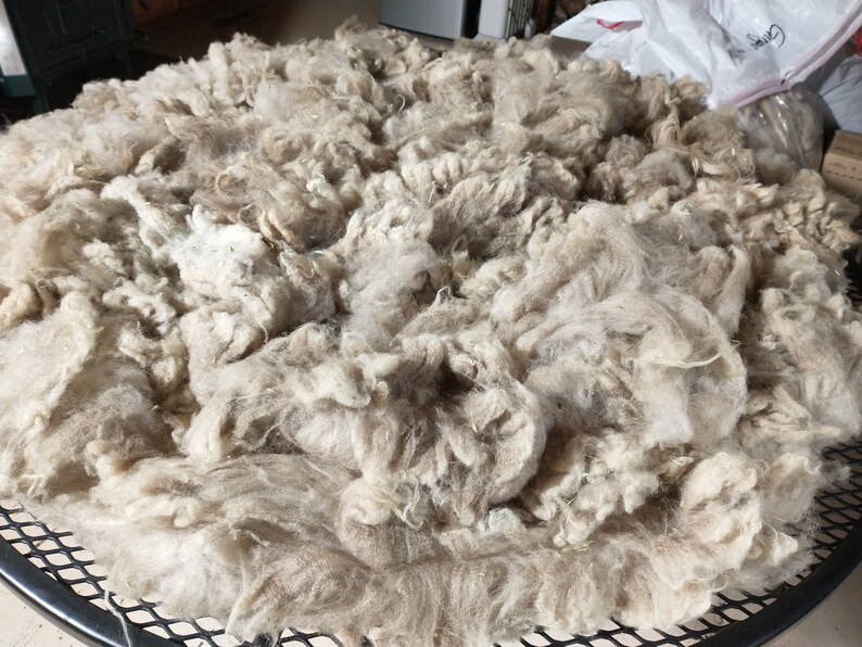 Shetland Sheep Roving From Kate - 4 Oz - Etsy