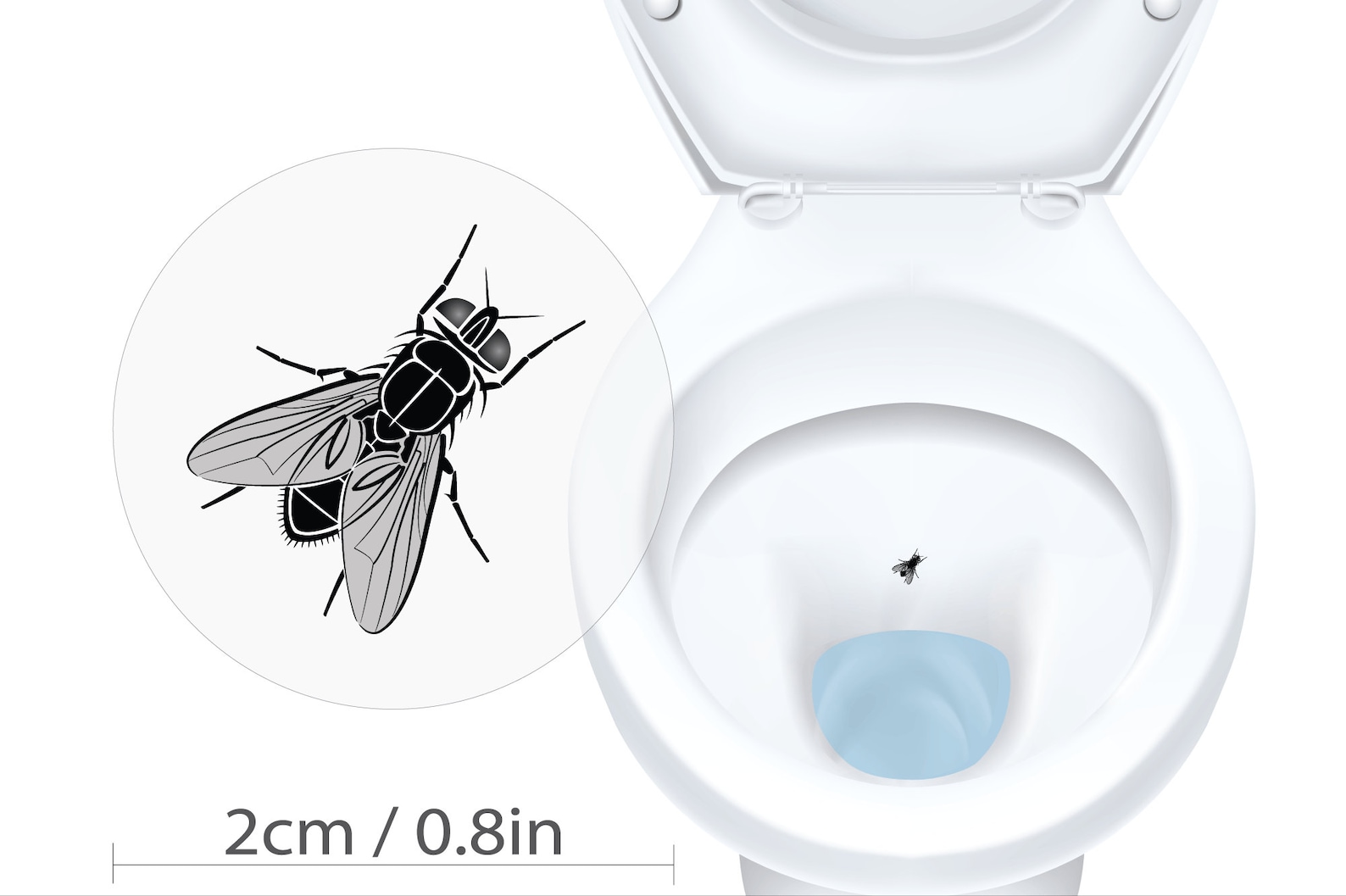 Urinal Fly Bulk Pack - Toilet Target Stickers / Urinal Aiming Stickers ...