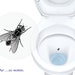 Toilet Target Stickers for Toilet Training. Urinal Aiming Stickers. Now ...
