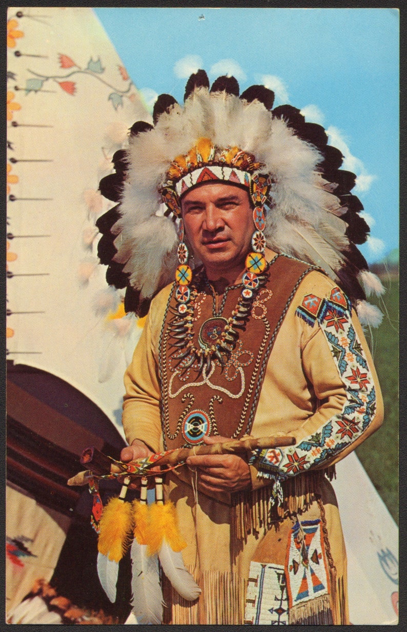 USA Vintage Used Postcard 1965 Indian Chief Wabeness white | Etsy
