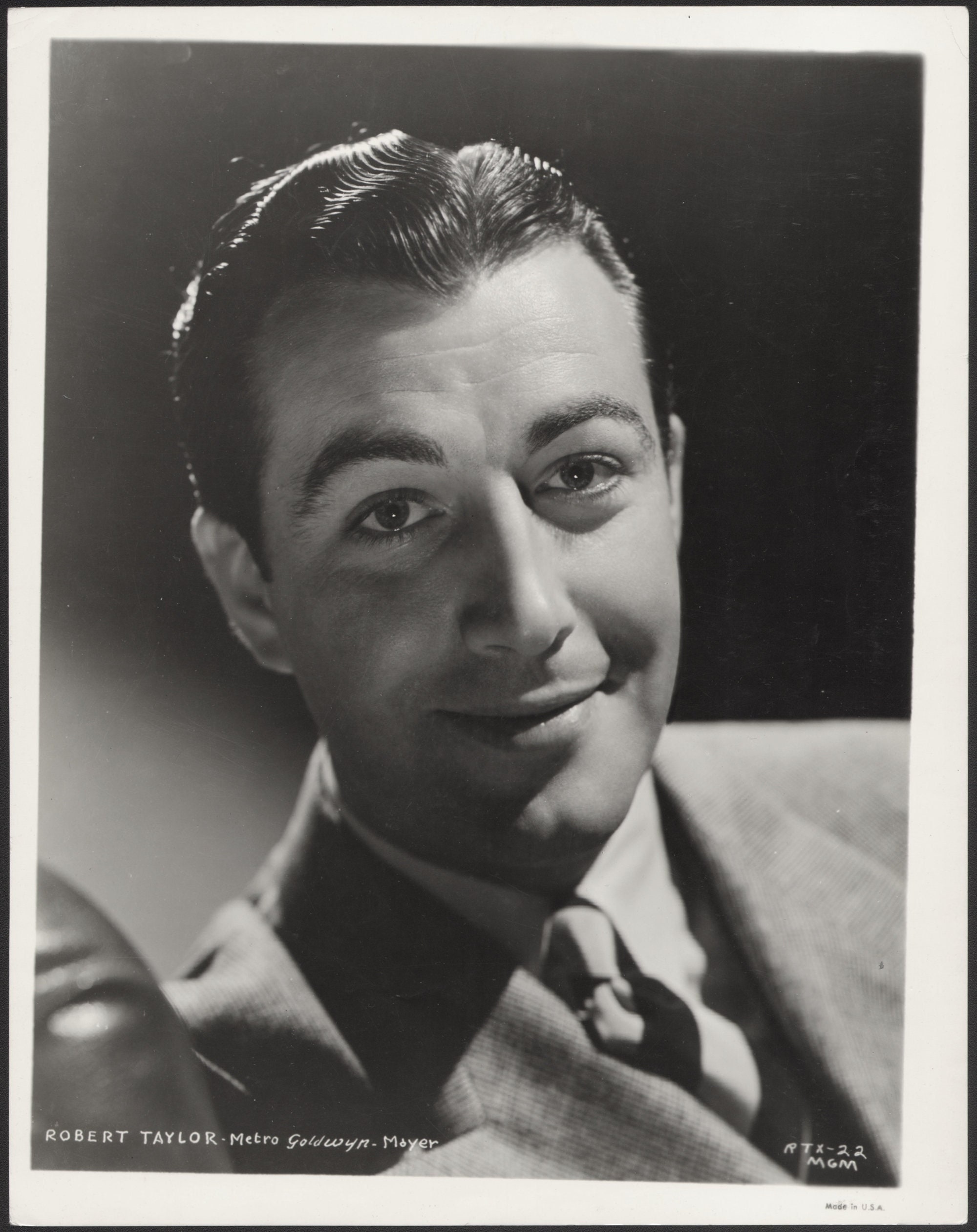 Robert Taylor Actor