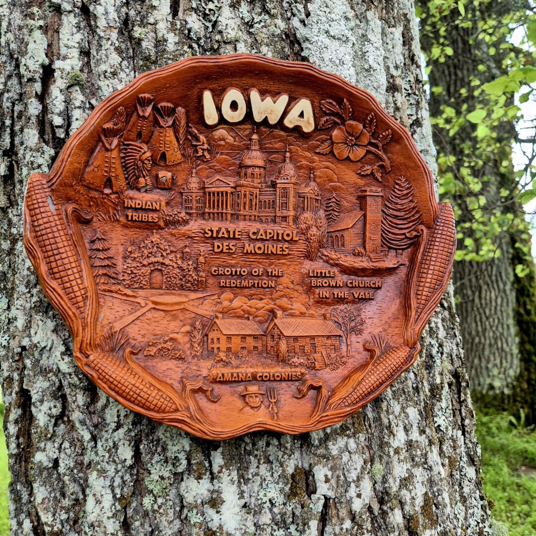 Antique Iowa Wall Plaque by Lugene’s Inc., Faux Wood Bowl, 1970s - Etsy