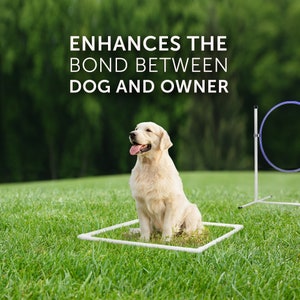 Better Sporting Dogs Agility Set | 5pc Agility Kit | Bar Jump W/cup ...
