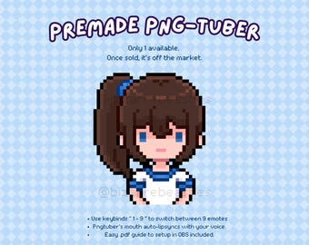 Premade Png-tuber Model - Only 1 Available - Pixel Art Vtuber Stream ...