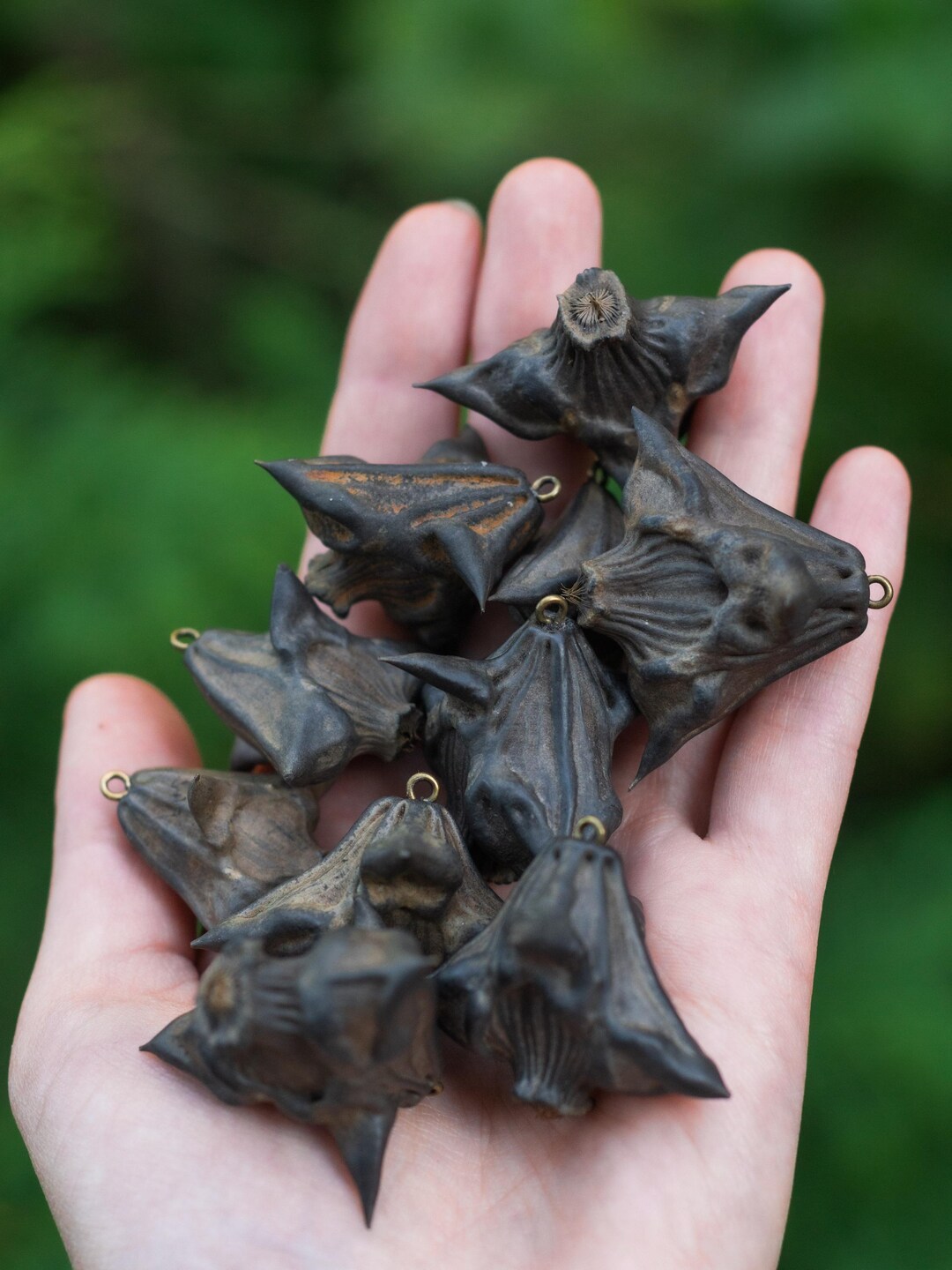 Set of 10 Water Caltrop Chestnut Ornaments, Black Devil Pod Altar Pendant, Bat Horn Nut Natural ...