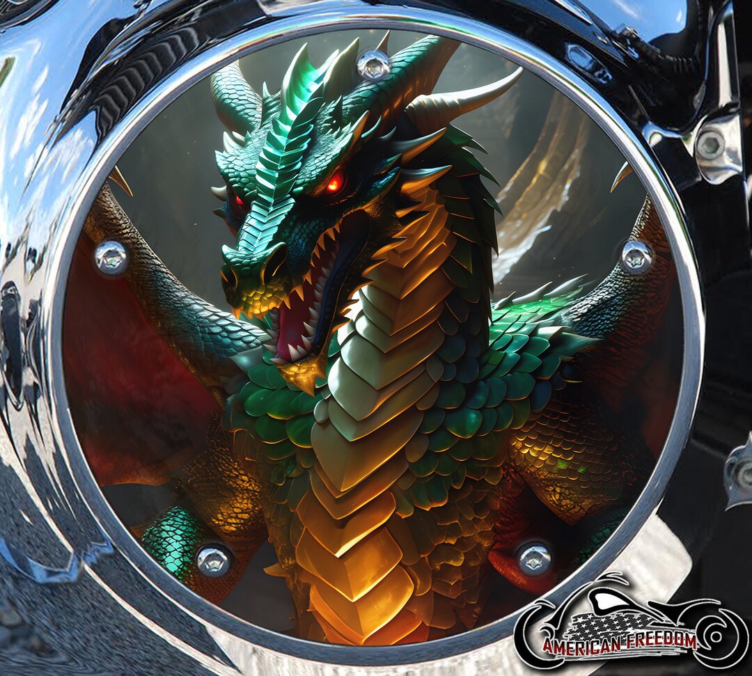 Harley Davidson Custom Derby or Timing Cover (your Choice) Twin Cam Big ...