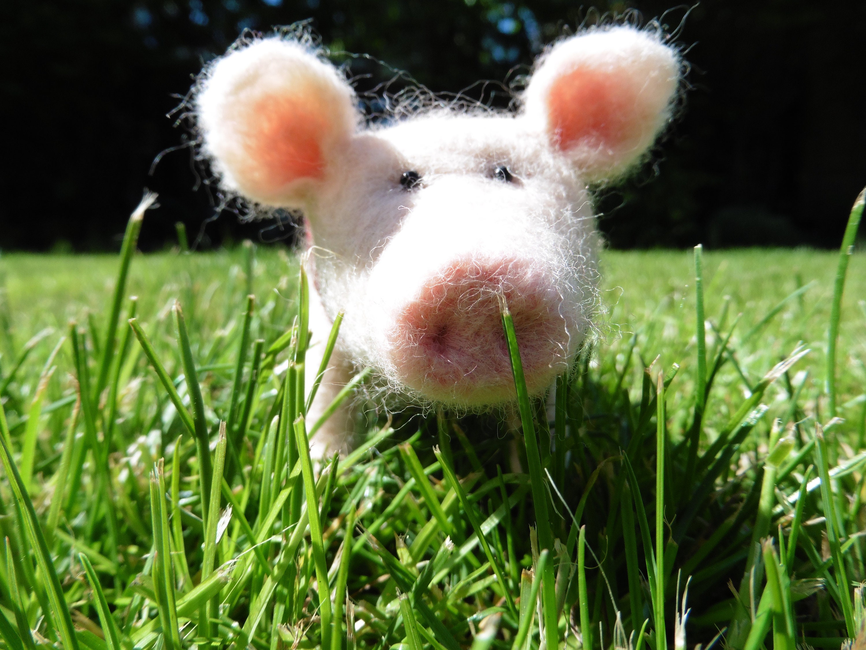 Needle Felted Pig, Miniature Wool Animal Figurine - Etsy