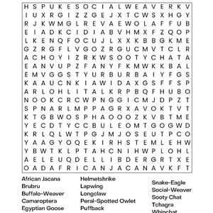 166 LARGE PRINT Word Search Puzzles of 41 National Parks Around the ...
