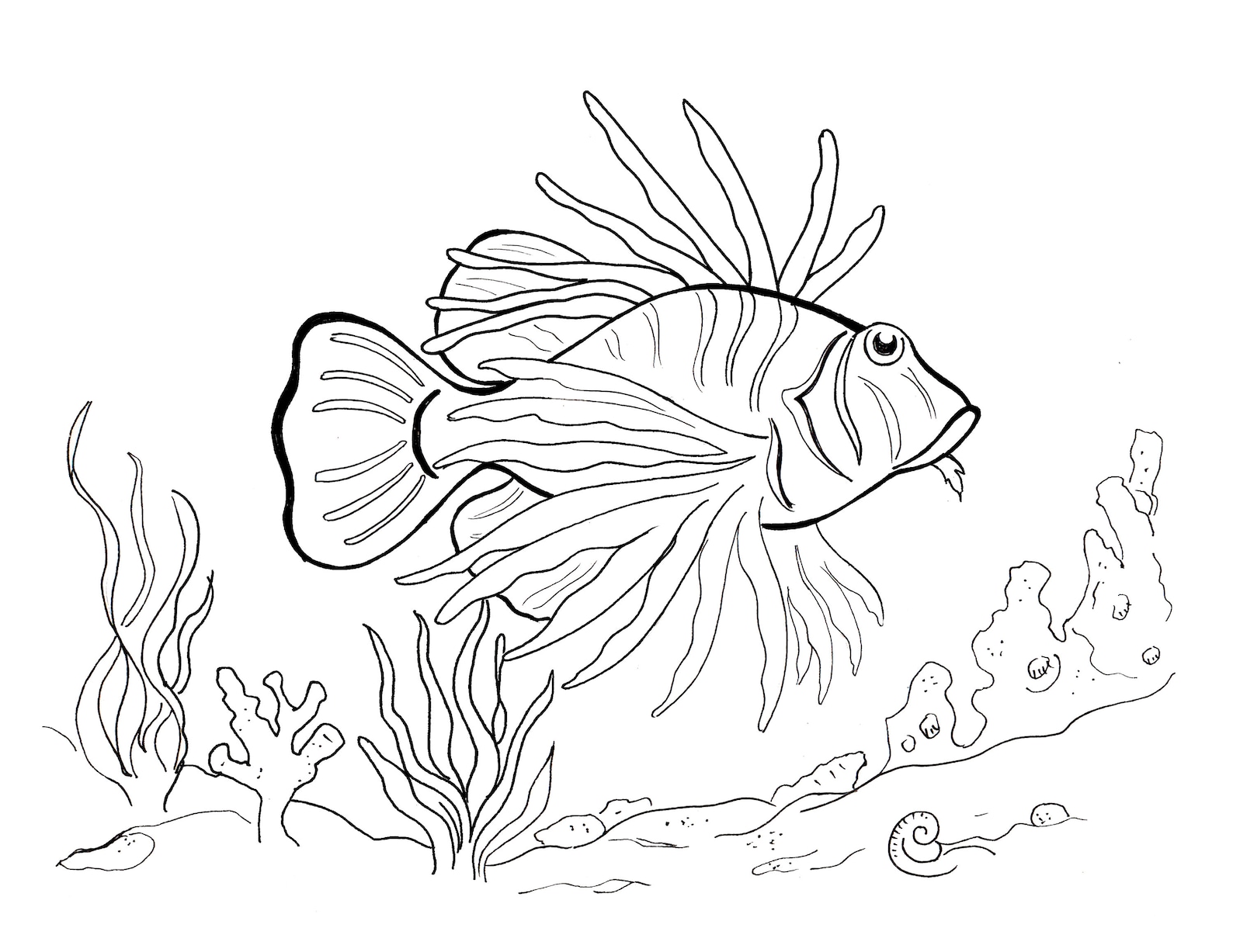 Lionfish Coloring Page, L for Lionfish, Fish Digital Download, Coloring ...