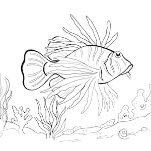 Lionfish Coloring Page, L for Lionfish, Fish Digital Download, Coloring ...