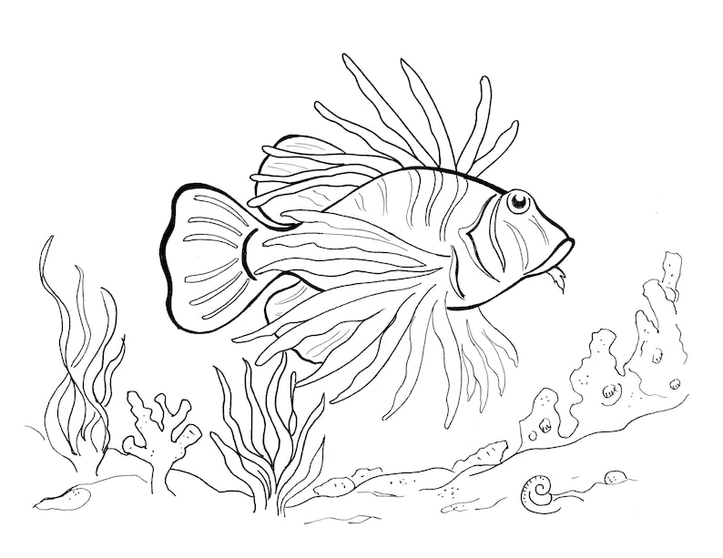 Lionfish Coloring Page, L for Lionfish, Fish Digital Download, Coloring ...