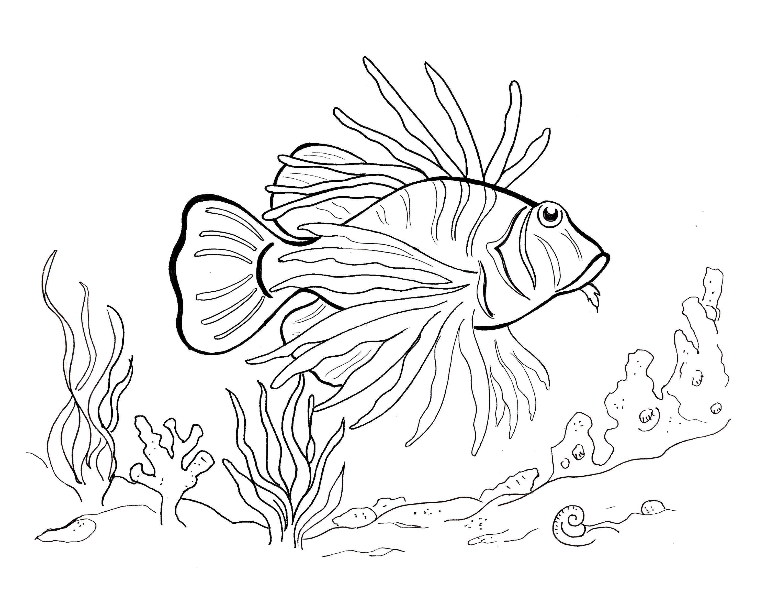 Lionfish Coloring Page, L for Lionfish, Fish Digital Download, Coloring ...