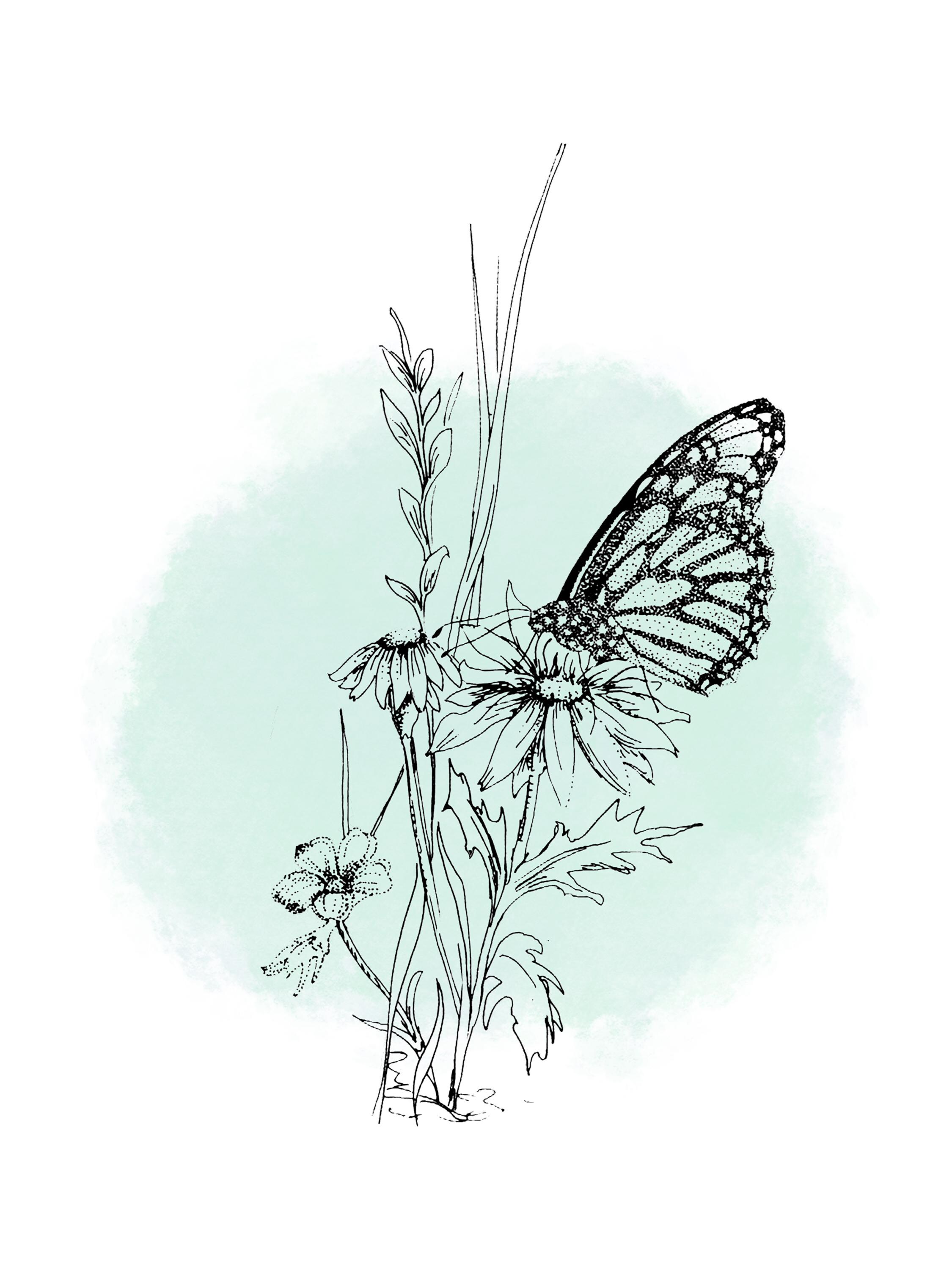 Butterfly Wall Art Print, Printable Art, Floral Butterfly Wall Art ...