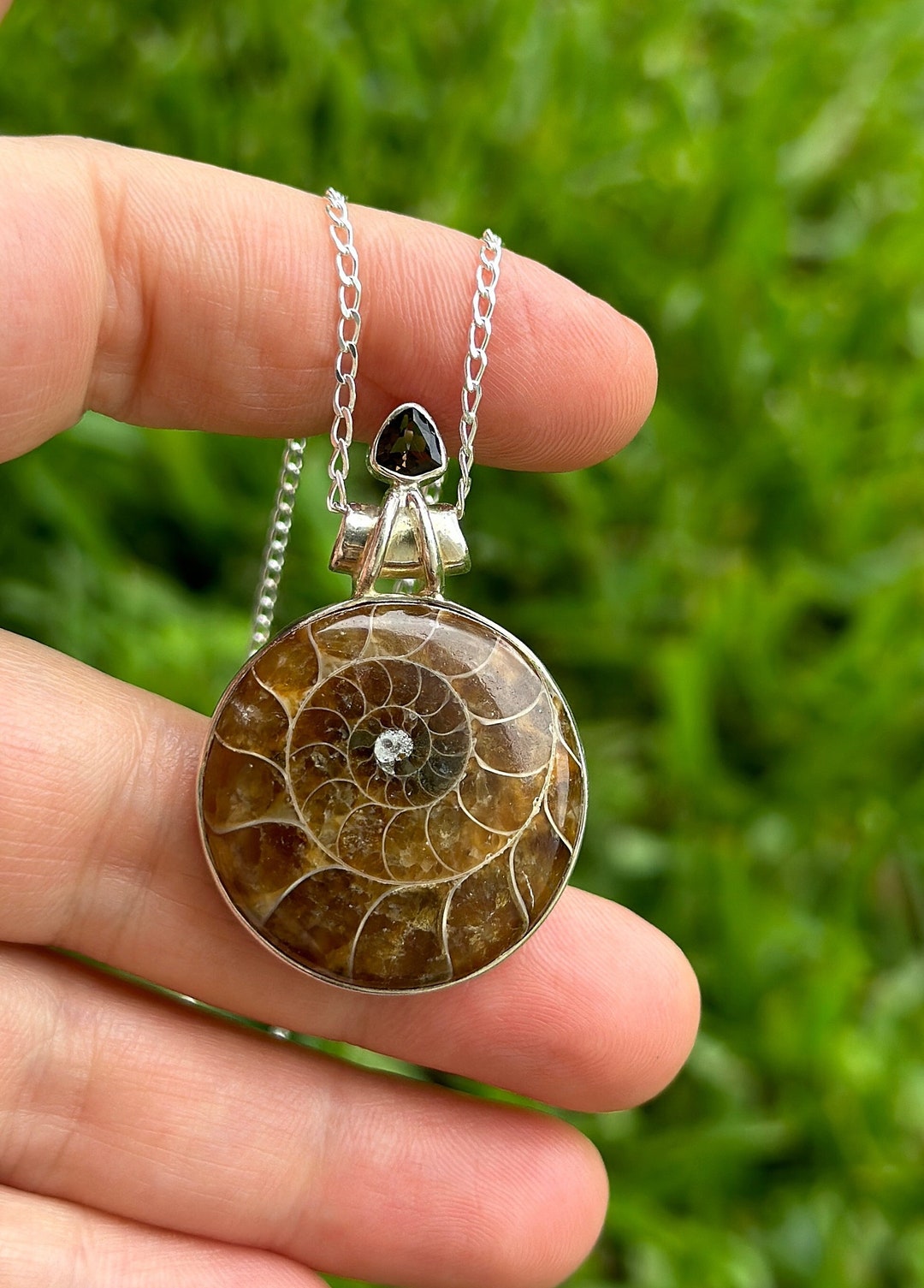 Fossil Ammonite, Pendant, Necklace, in Sterling Silver, Smoky Topaz - Etsy