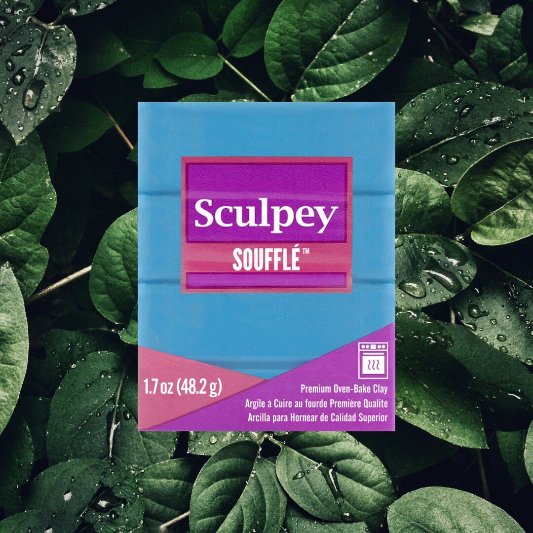 Sculpey Souffle Robin's Egg 48g 1.7oz Oven-bake Polymer - Etsy