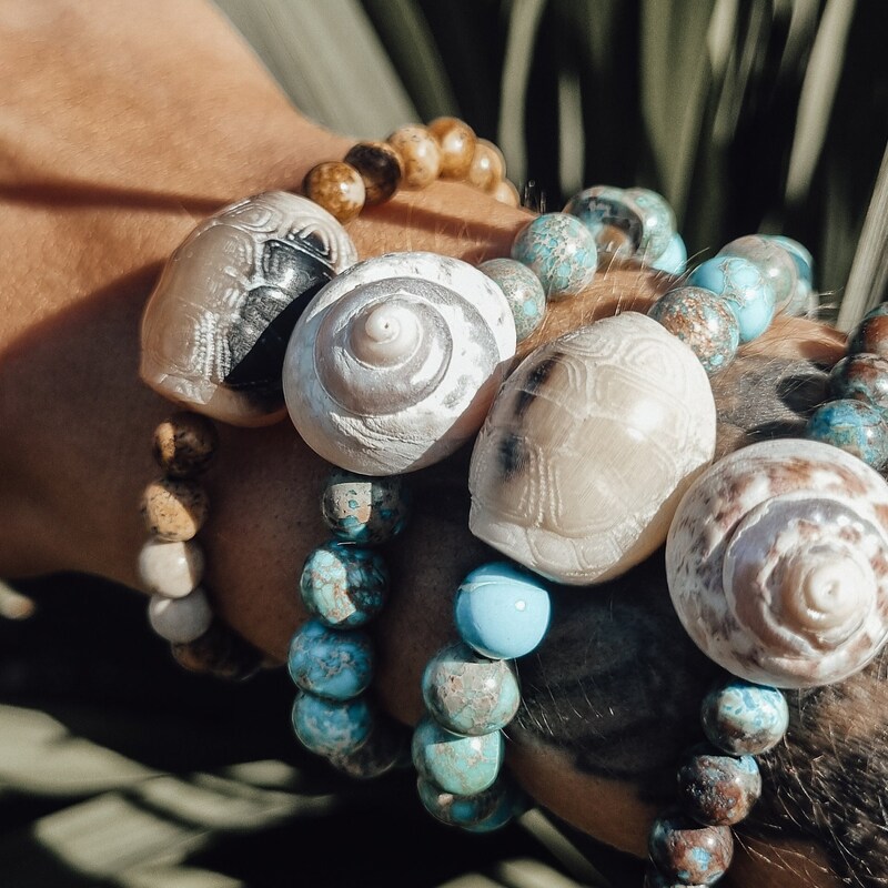 ShellsOfNature - Etsy UK