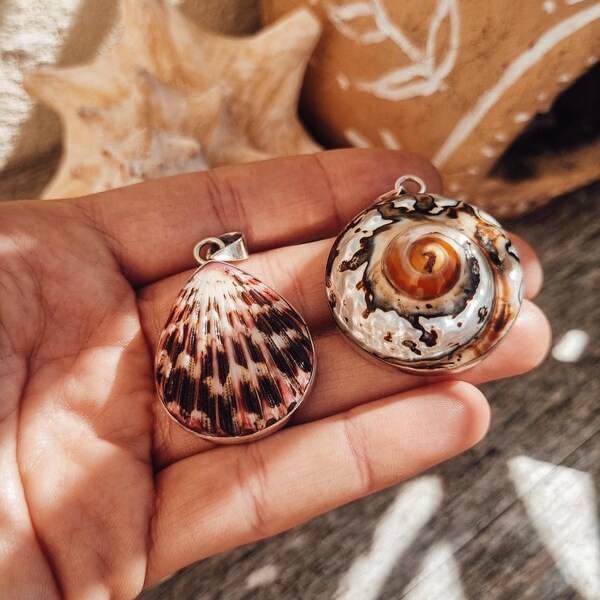 ShellsOfNature - Etsy UK