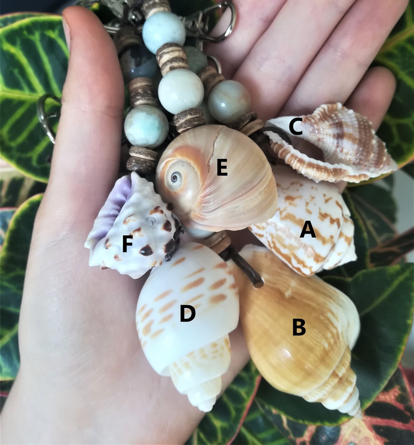 Boho Surfer Amazonite Seashell Keyring Bag Charm - Etsy