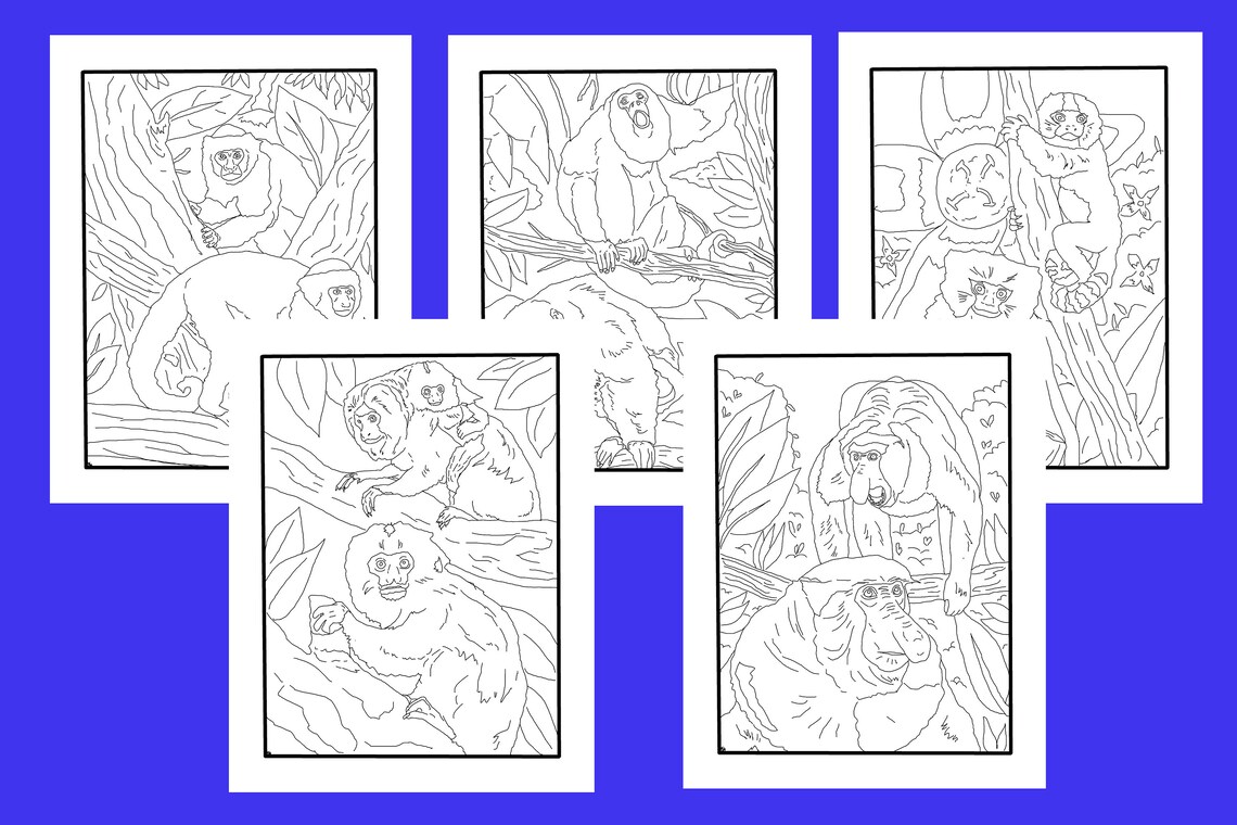 Monkeys 5 Pack of Coloring Pages - Etsy