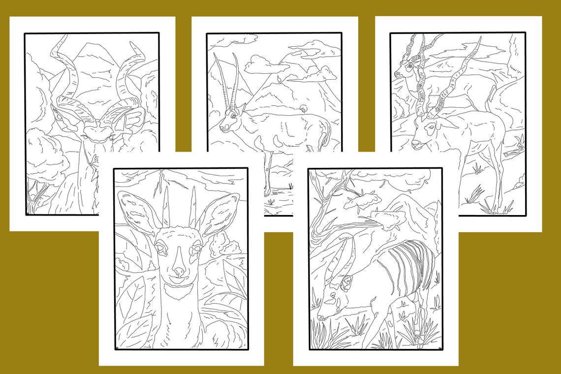 Antelopes! 5 Pack of Coloring Pages - Etsy