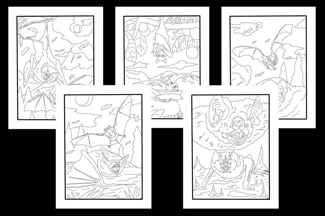 BATS! 5 Pack of Coloring Pages - Etsy