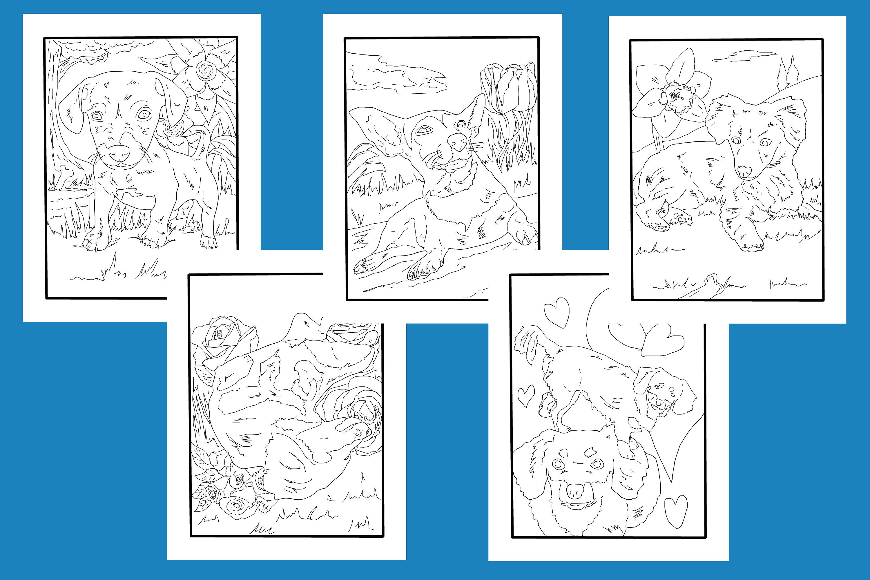 5 Pack of Chiweenie Dogs Coloring Pages - Etsy