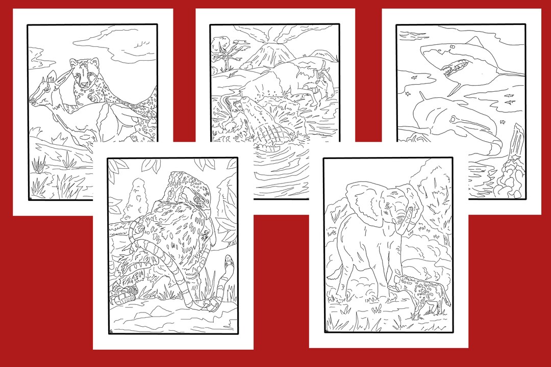 Coloring Pages 5 Pack: Extreme Nature - Etsy