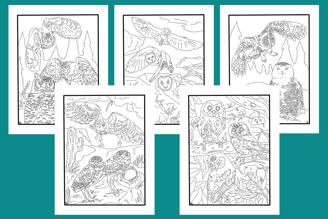 Owls! 5 Pack of Coloring Pages. - Etsy