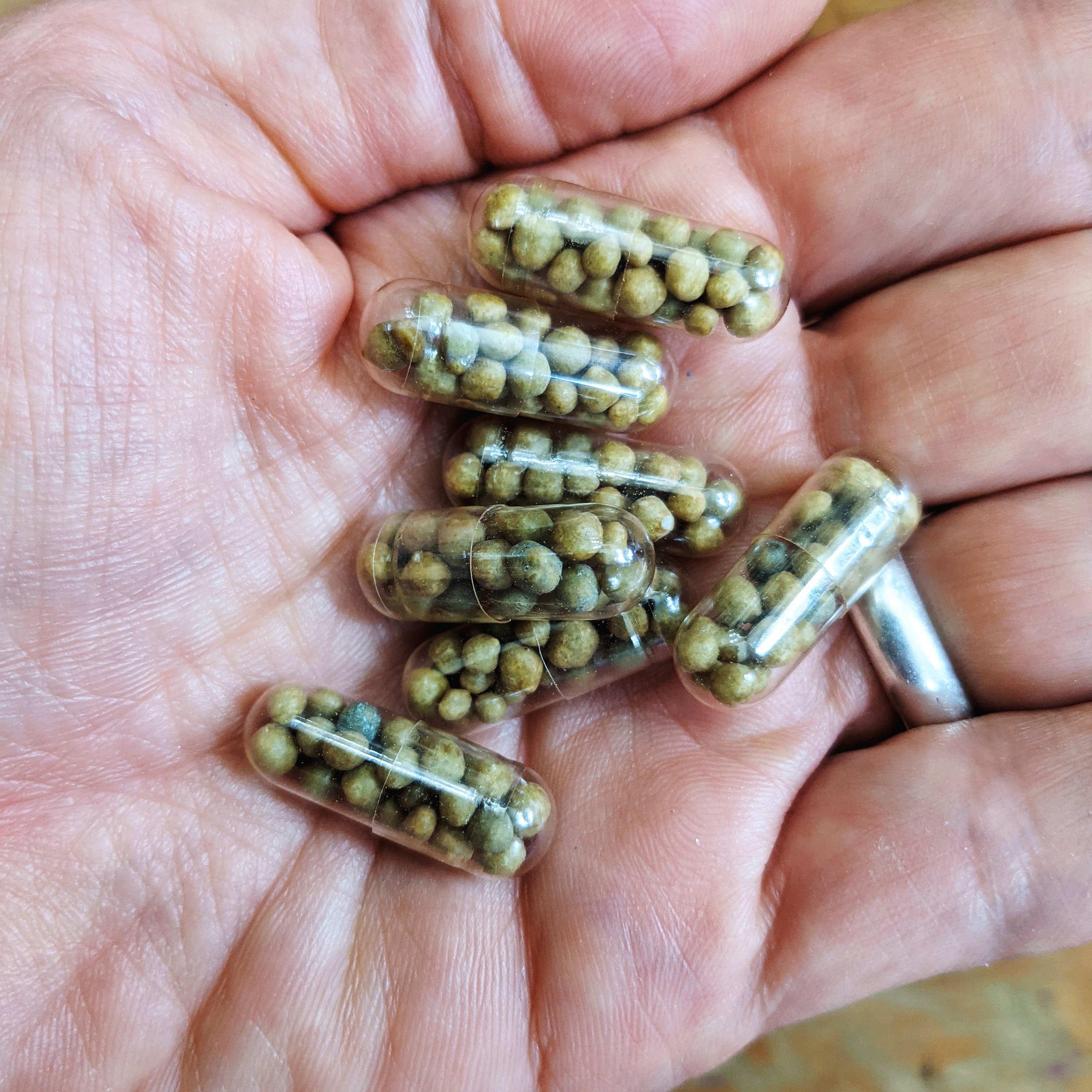 30 Aquatic Fertilizer Root Tabs for Planted Tanks. 11 - Etsy