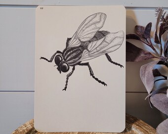 Vintage Creepy Spider Flash Card Halloween Ephemera Antique - Etsy