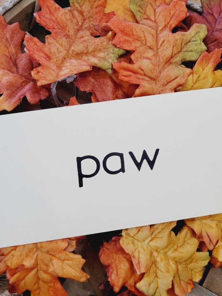Vintage Paw Flash Card, Word Phonics Card, Cat Dog Lover Gift, Antique ...