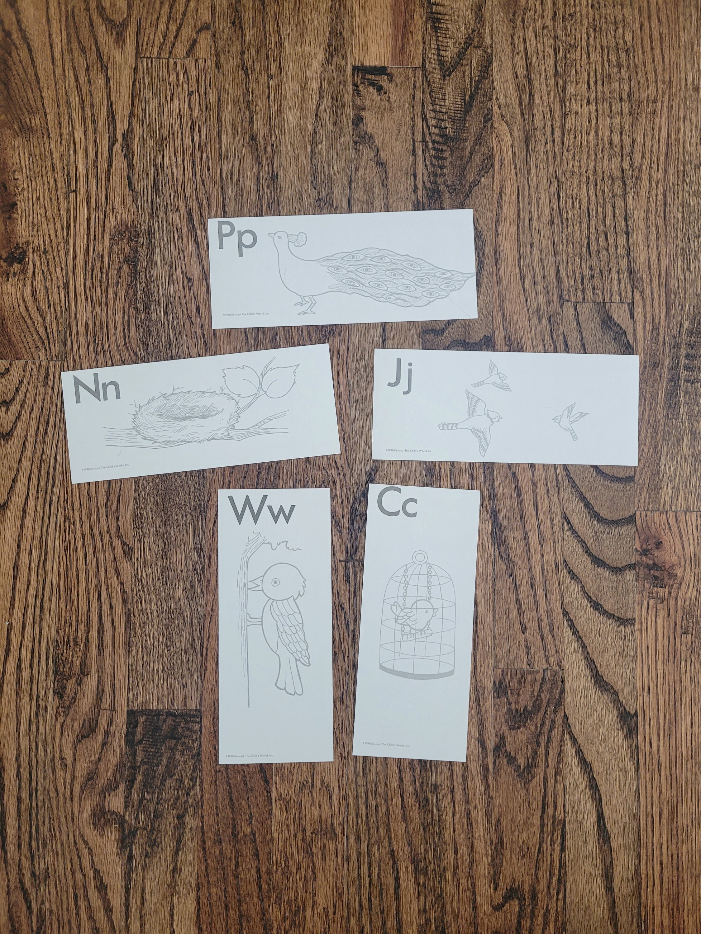 Vintage Bird Flash Card Set, Nest Canary Peacock, Word Phonics Card ...
