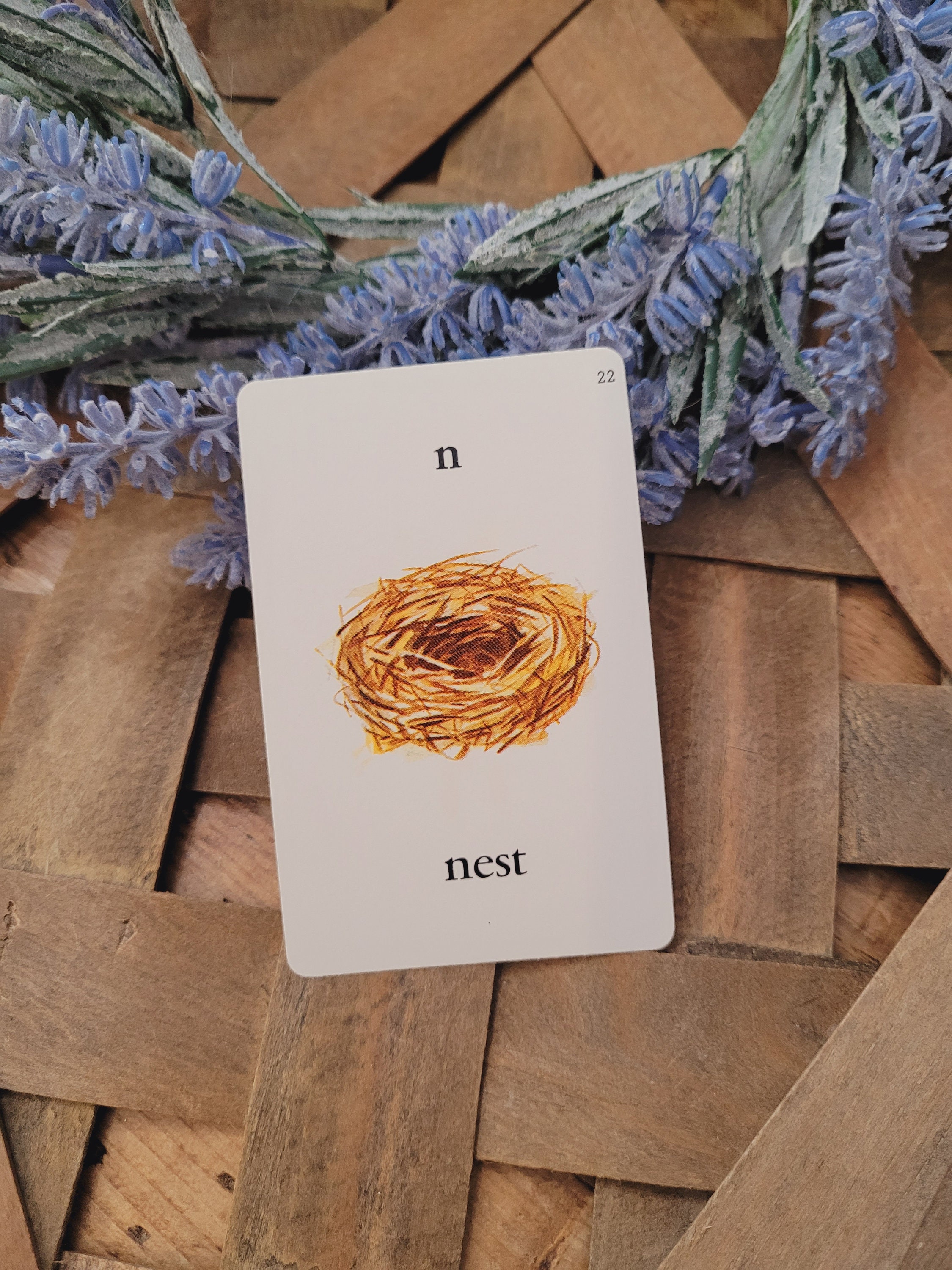 Vintage Bird's Nest Flash Card, Vintage Spring Decor, Antique ...