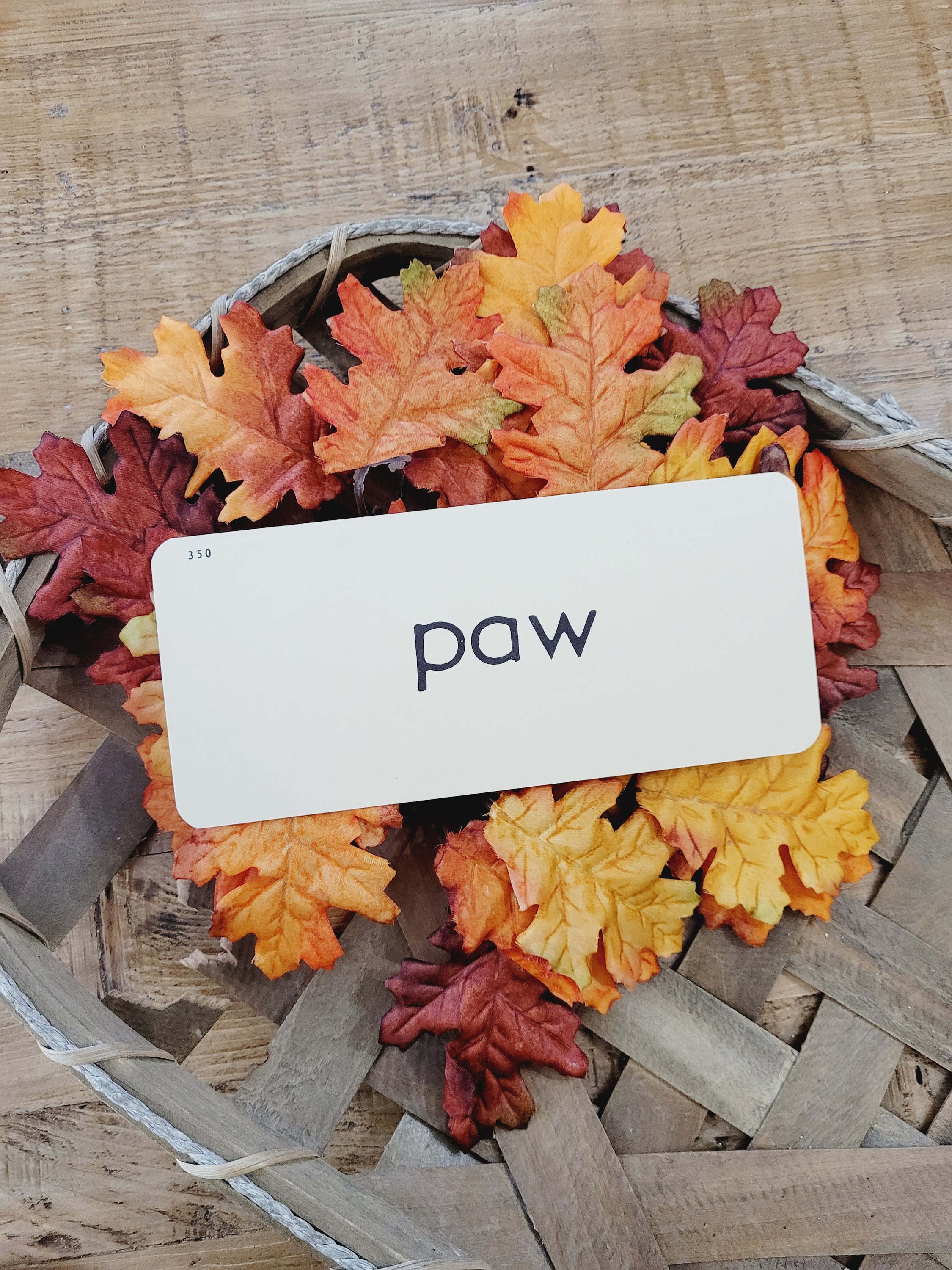 Vintage Paw Flash Card, Word Phonics Card, Cat Dog Lover Gift, Antique ...