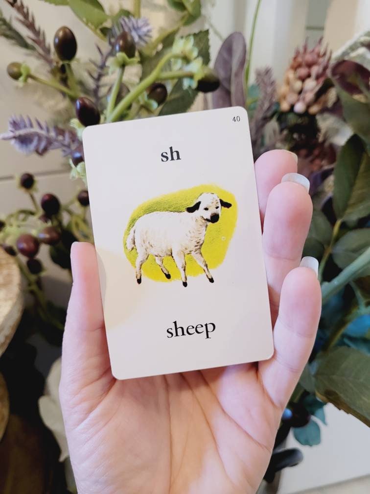 Vintage Sheep Flash Card, Antique Flashcards, Vintage Ephemera, Junk ...