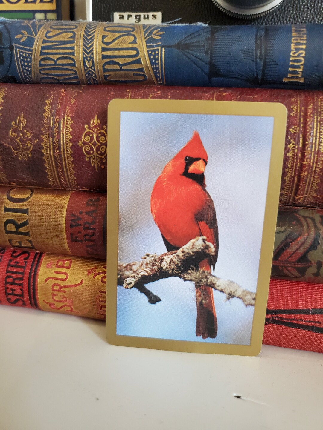 6 Vintage Cardinal Playing Cards, Antique Red Bird Trade Cards, Bird ...