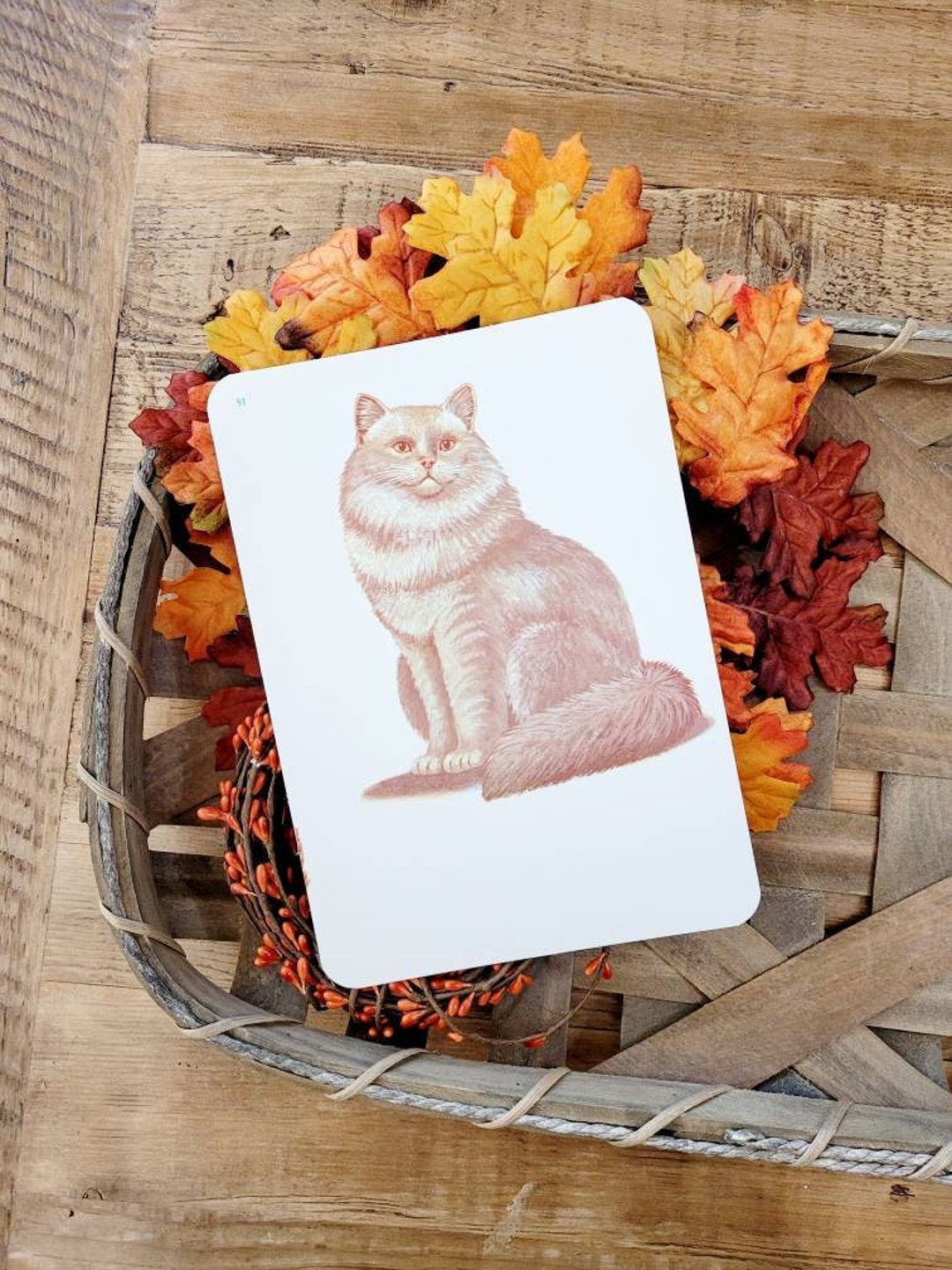 Vintage Cat Flash Card, Vintage Kitten Decor, Antique Flashcards ...