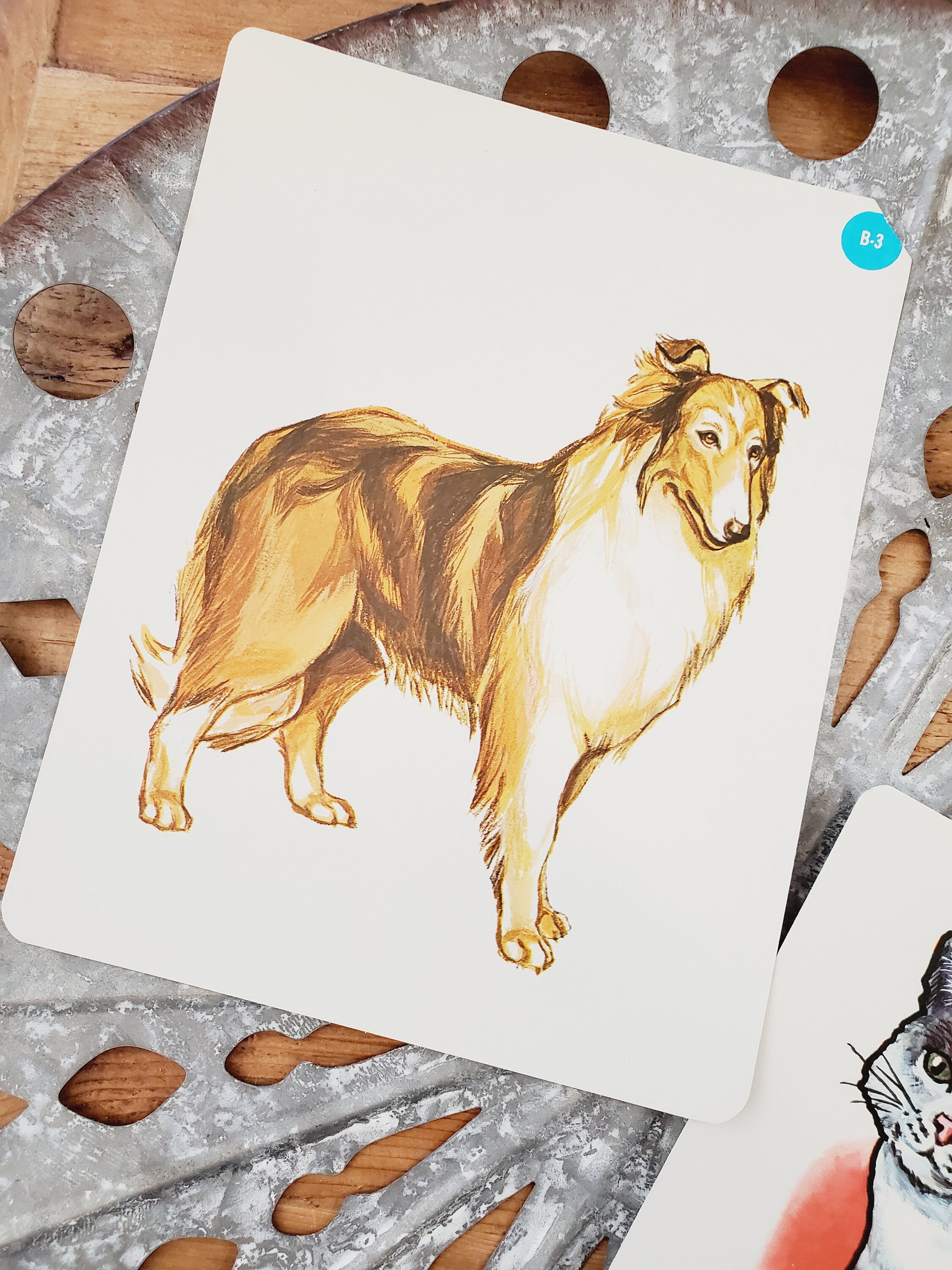 Vintage Cat Dog Flash Card, Antique Flashcards, Vintage Ephemera, Junk ...