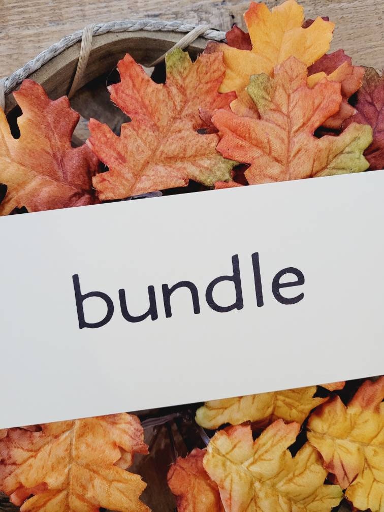 Vintage Bundle Flash Card Word Phonics Card Bundle of Joy - Etsy