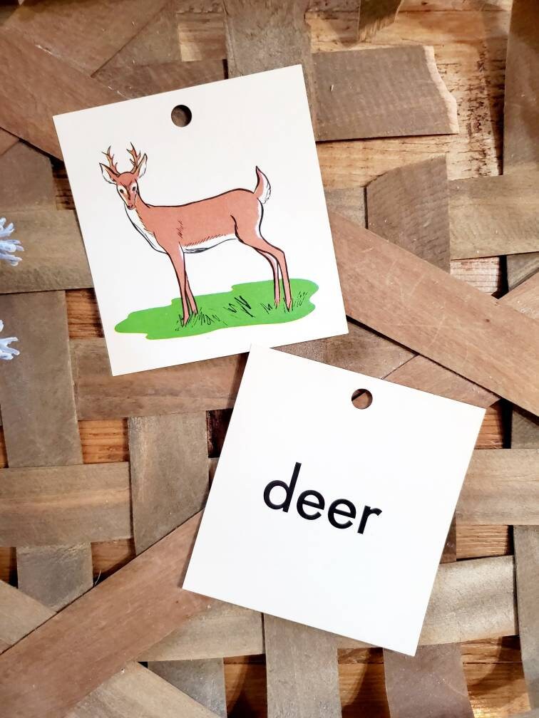 Vintage Deer Flash Cards, Christmas Reindeer Decor, Antique Flashcards ...