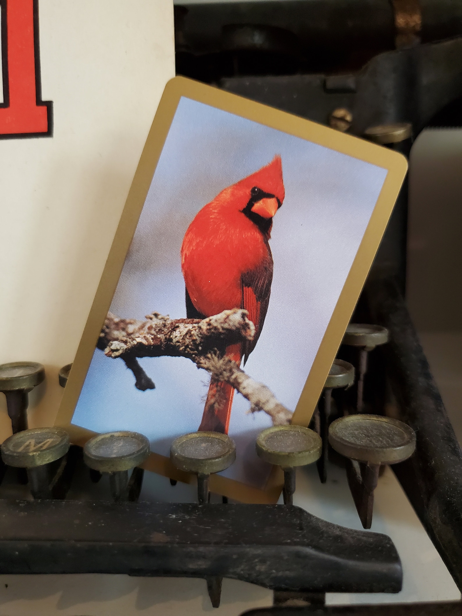 6 Vintage Cardinal Playing Cards, Antique Red Bird Trade Cards, Bird ...