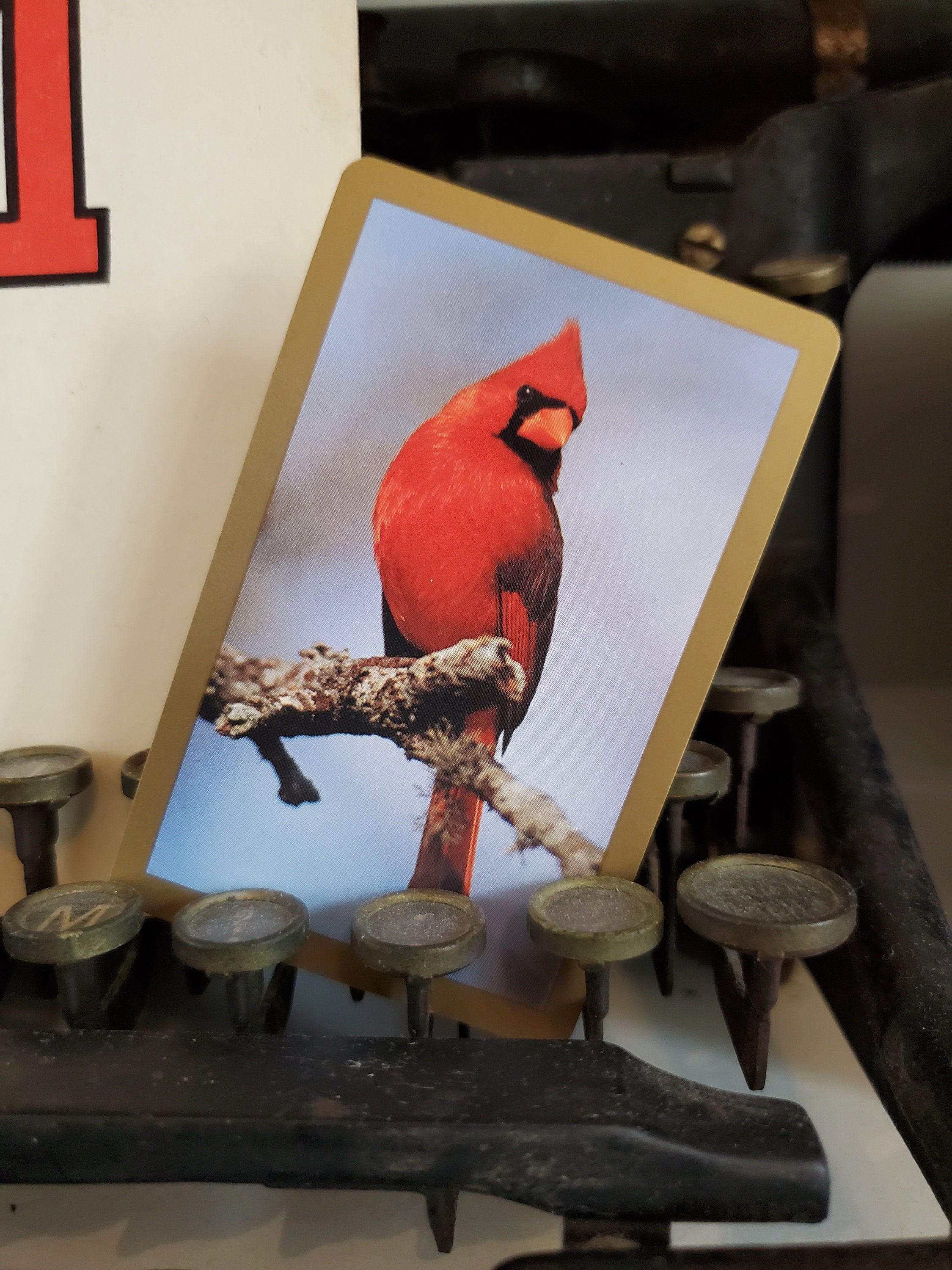 6 Vintage Cardinal Playing Cards Antique Red Bird Trade - Etsy