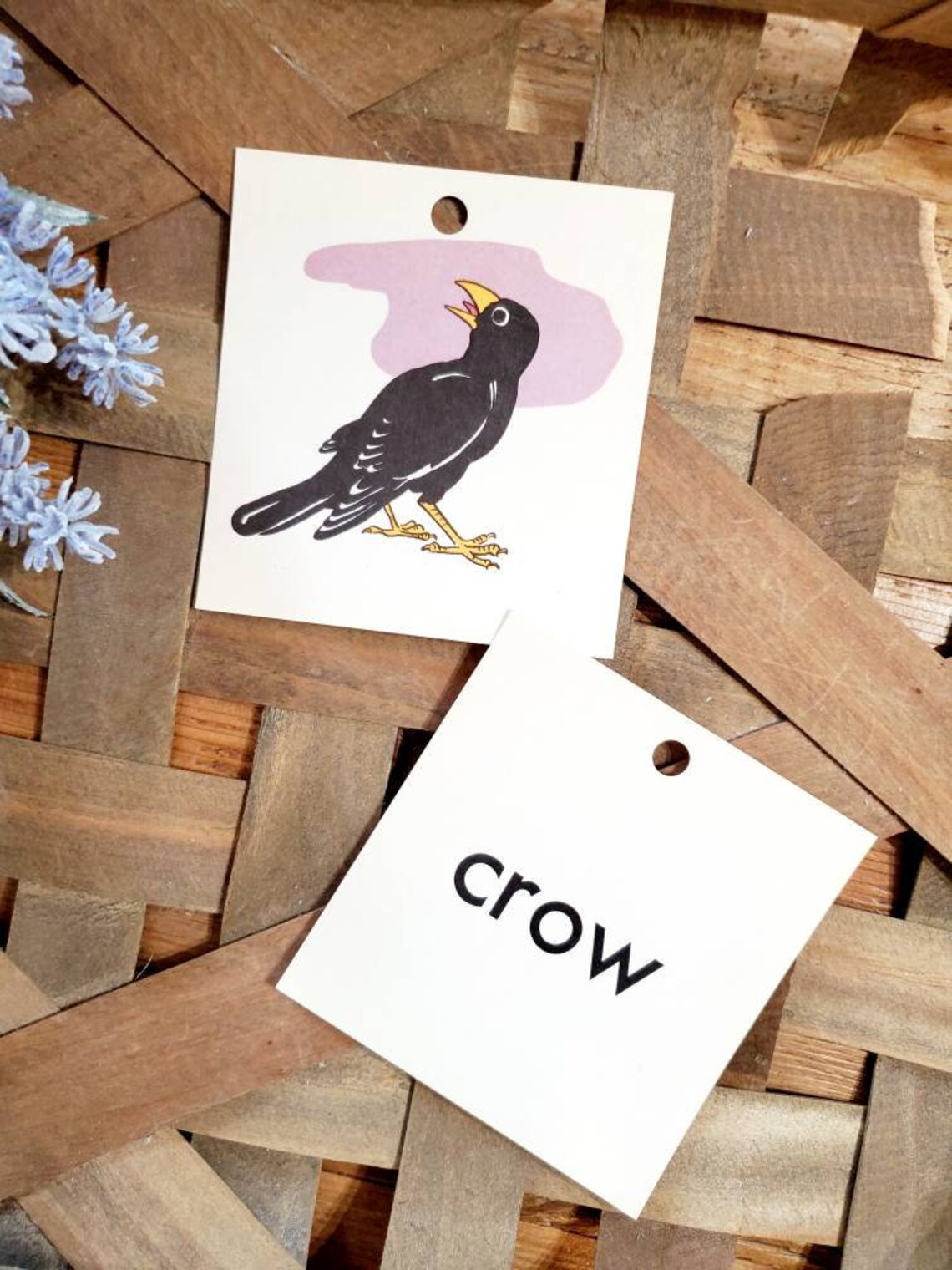 Vintage Crow Flash Cards Halloween Decor Antique Flashcards - Etsy