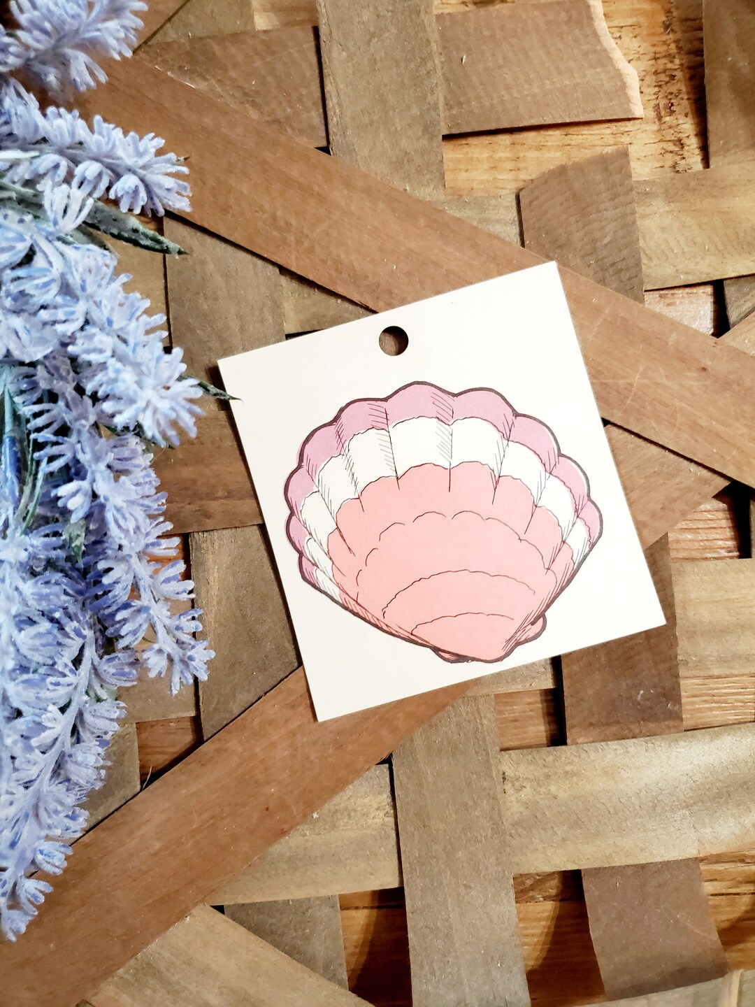 Vintage Shell Flash Cards, Beach Summer Decor, Nautical, Antique ...