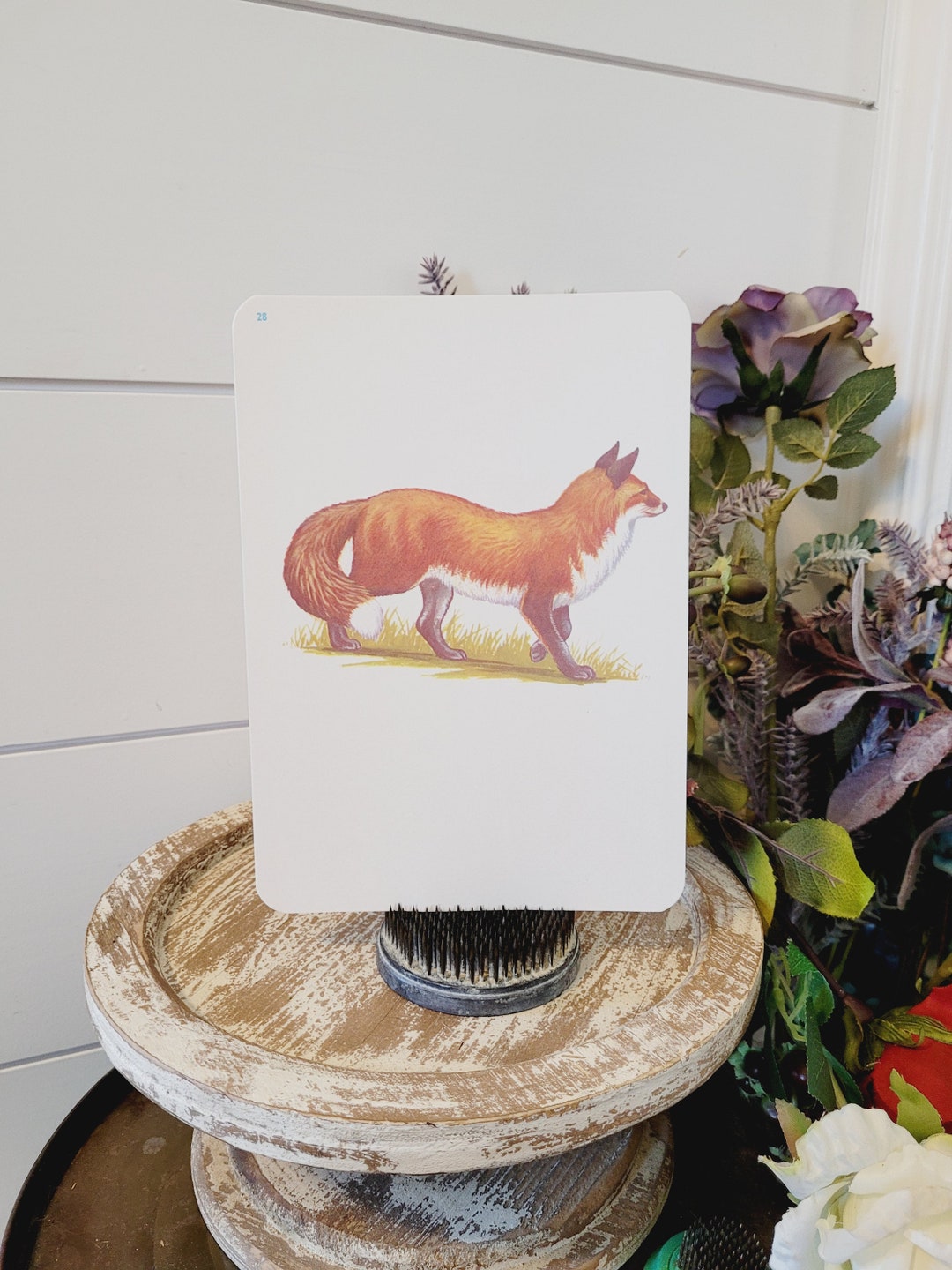 Vintage Fox Flash Card, Antique Flashcards, Vintage Ephemera, Junk ...