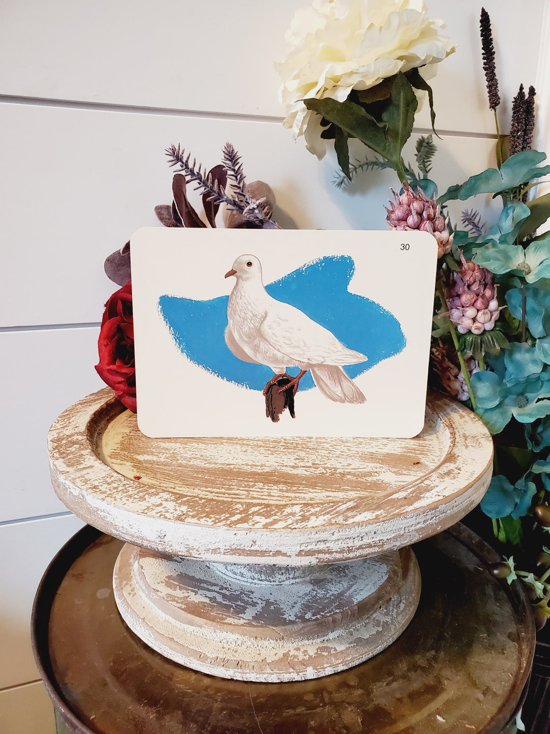 Vintage Dove Flash Card, Bird Lover, Antique Flashcards, Vintage ...
