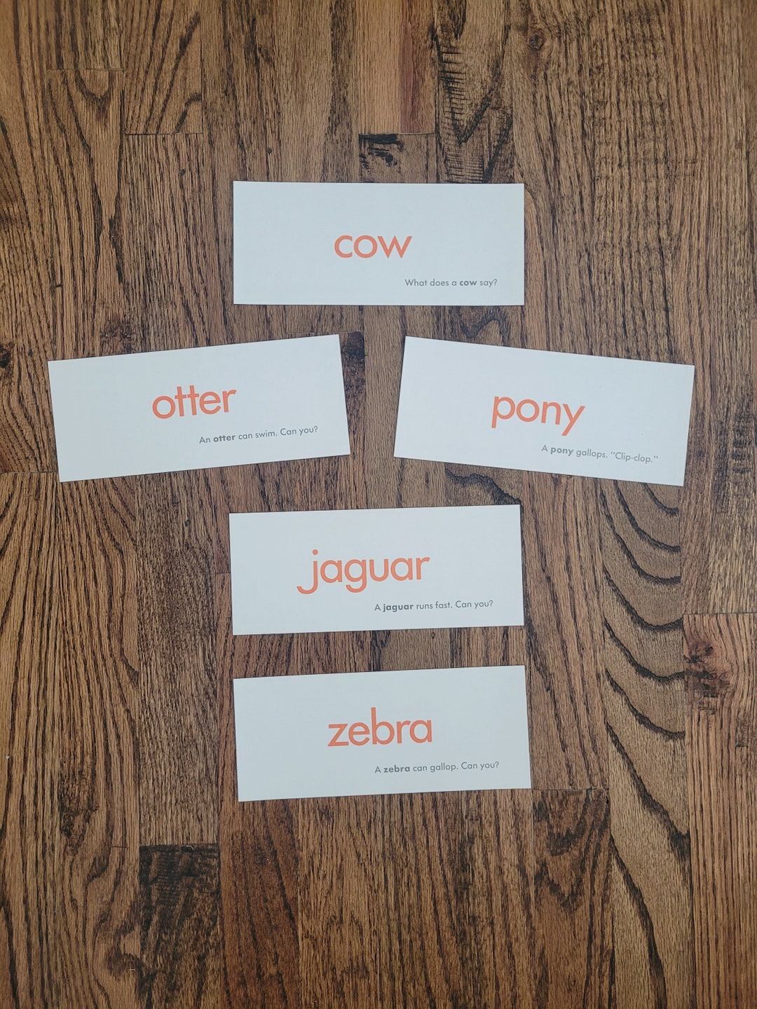 Vintage Animal Flash Card Set, Cow Otter Pony Zebra, Word Phonics Card ...