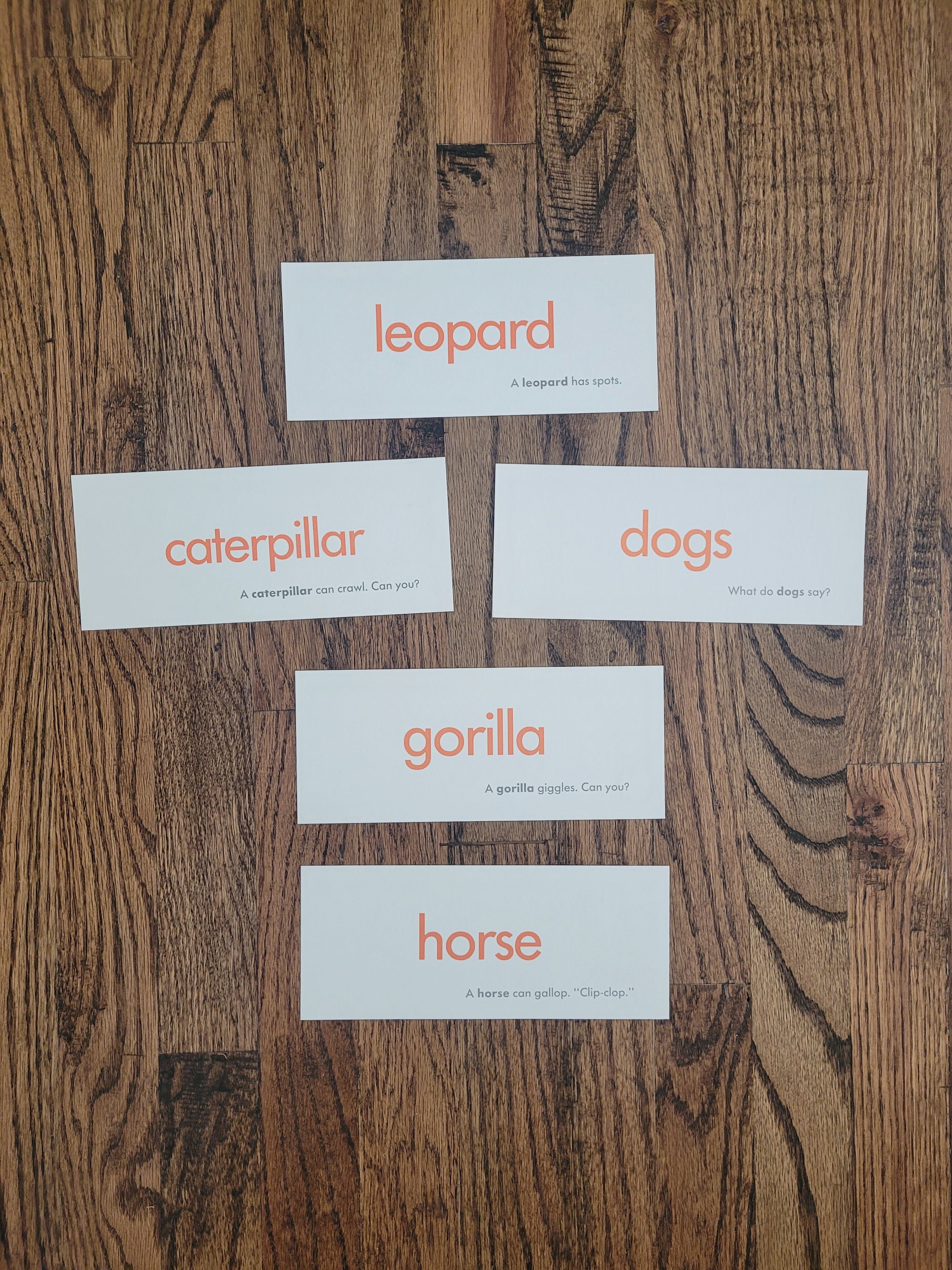 Vintage Animal Flash Card Set: 1960s Word Phonics Cards - Etsy