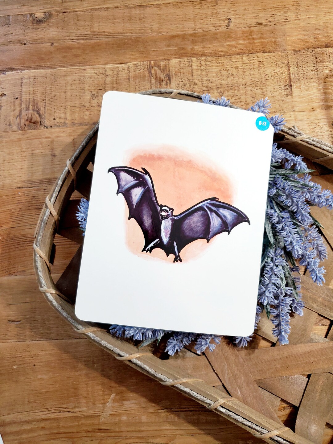 Vintage Bat Flash Card, Halloween Ephemera, Antique Flashcards, Vintage ...
